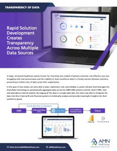 AMN-VMS-SuccessStory-RapidDevelopmentOfTailoredSolution-Flyer ...